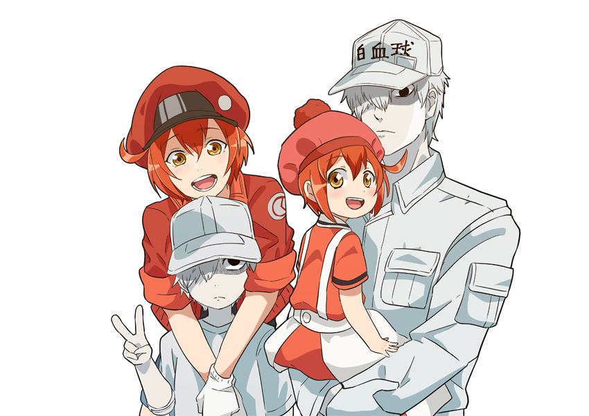 รีวิว Hataraku Saibou น้องเกล็ดเลือด!! | by wasupon duranit | Medium