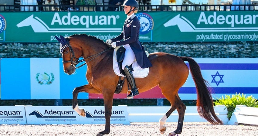 LiveStream>> 2020 Global Dressage Festival Week 2, #Live 2020 | by gandung monic | Medium