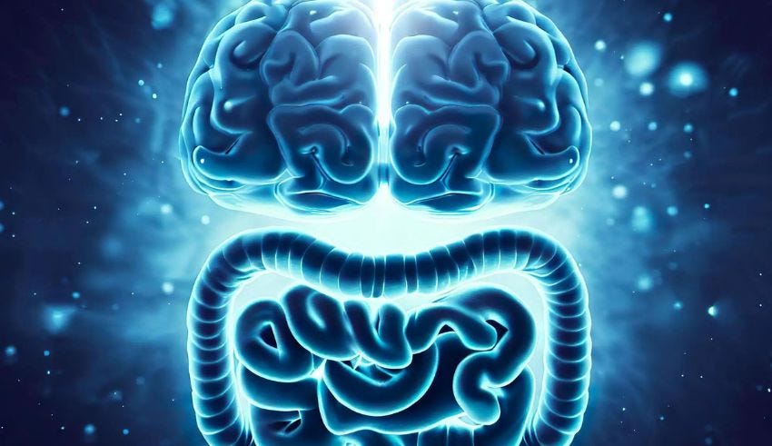 MIT’s Breakthrough Technology Unveils the Secrets of Neural Circuits: A ...