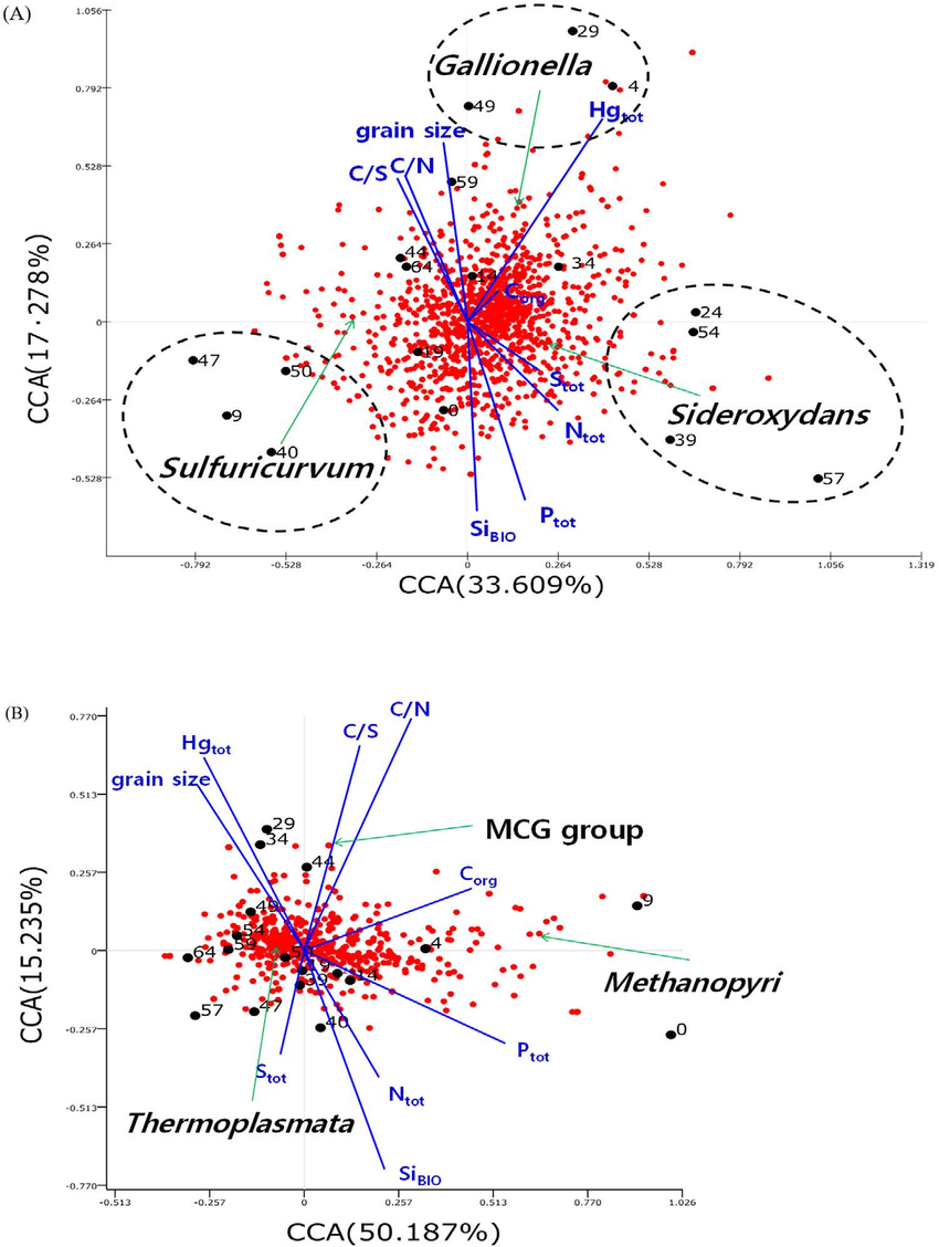 Deciphering Hidden Dimensions: Canonical Correlation Analysis as a Key to Unlocking Multivariate ...