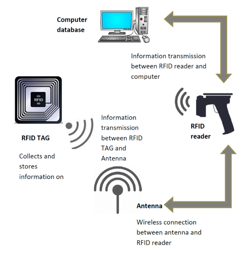 Radiofrequency Identification (RFID) Tags Market Size, Insights ...