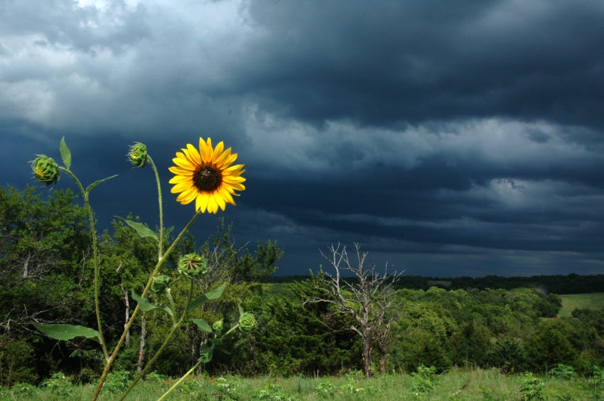 Clouds and Life. Lessons learned on staying positive… | by Jan ...