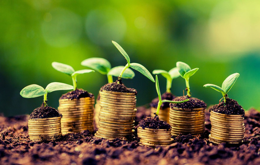 Putting a Price on Nature: Economic Valuation of Natural Resources | by ...