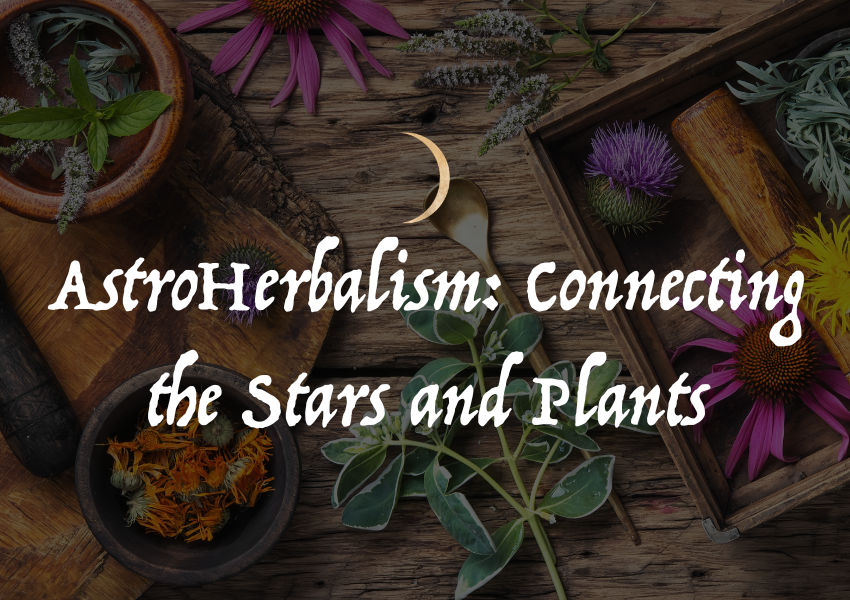 AstroHerbalism: Connecting the Stars and Plants | by Ambrosia Hawthorn ...