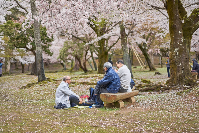 Things to Learn from How Japanese Live (Long and Happy Life) | by Rizka ...