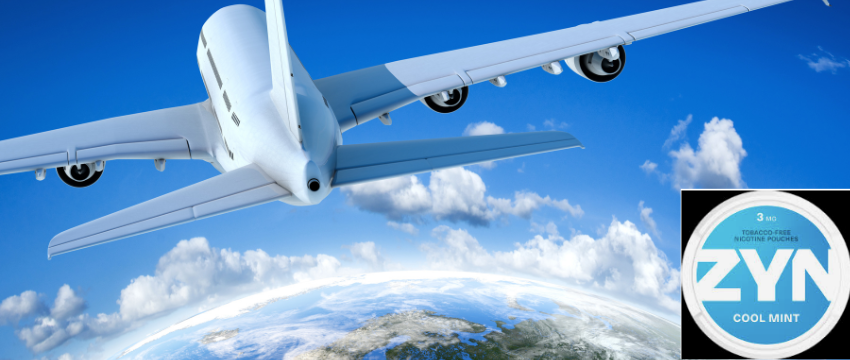Is Zyn Travel a scam?. Zyntravel is a multi-level marketing… | by David ...