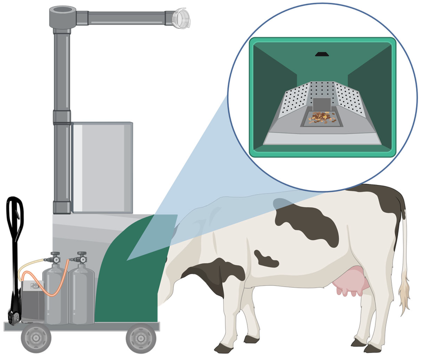 Belching in cows, or from the climate crisis to the feed trough | by ...