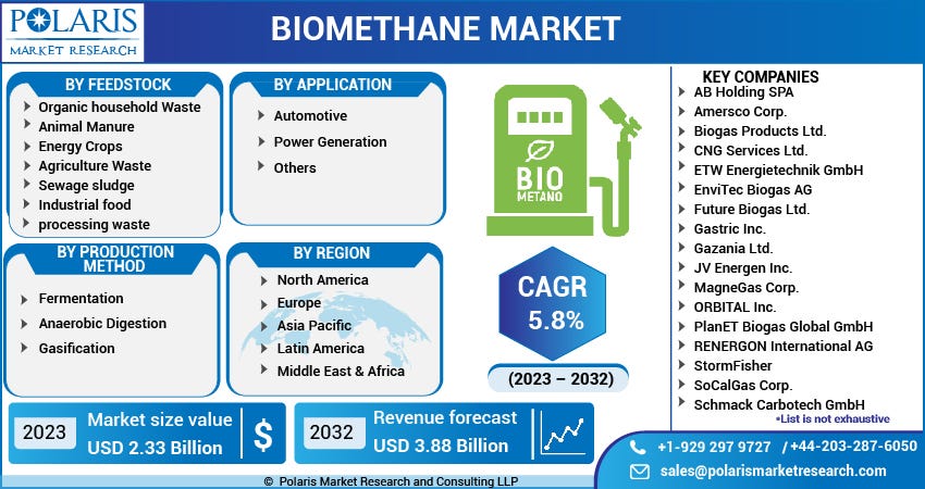 Biomethane Market Insights for Industry Players: Analysing Key Types ...