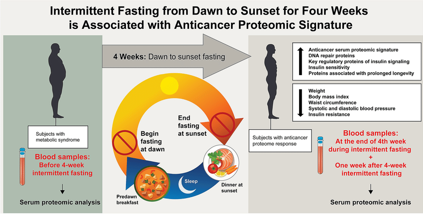 A Decade of Intermittent Fasting — Reflections and Insights | by Body ...