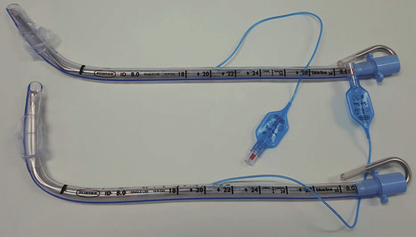Anti-Infective Endotracheal Tube Market Poised for Steady Growth Due To ...