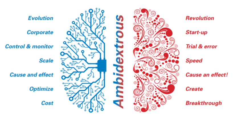 Harness AI to Master Ambidextrous Leadership & Succeed In Your Digital ...