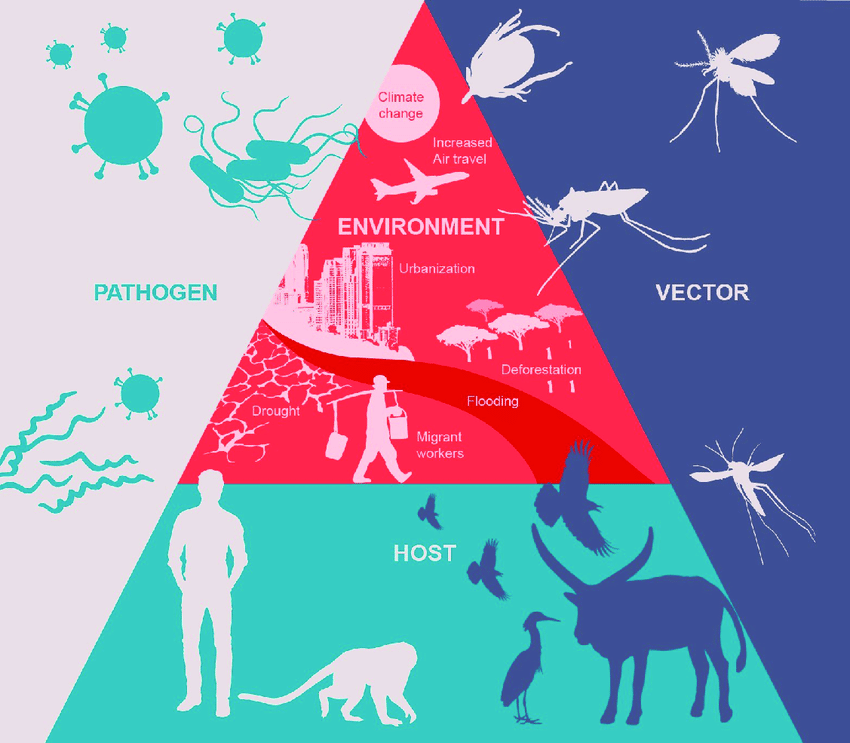 Plagues Upon The Earth: Disease And The Course Of Human History By Kyle ...