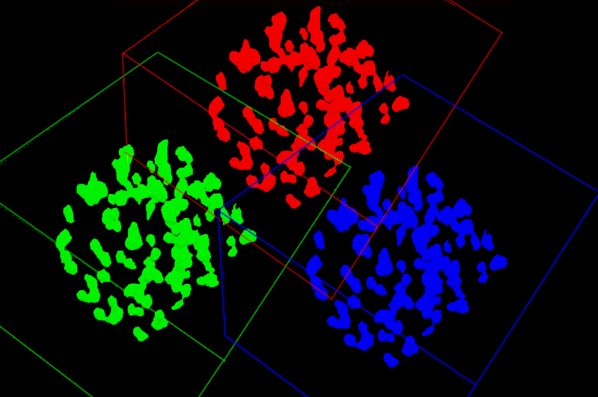 Cellular foci detection tutorial. Part 1 - Image scanning in OpenCV | by Sorin Tanasa | Medium