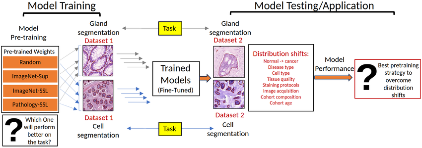 Optimizing Neural Network Performance: A Comparative Study of Weight Initialization Strategies ...