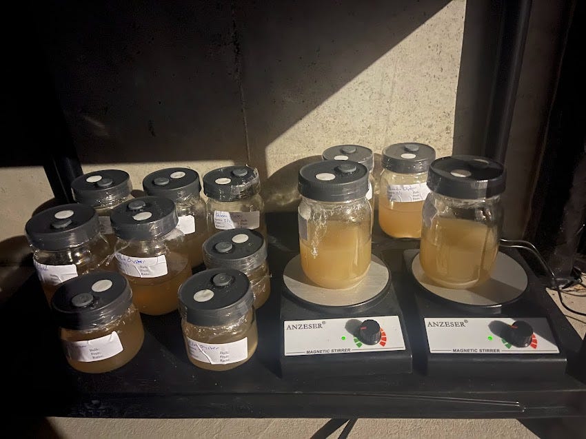 Liquid Culture — Take 2. I have begun a second attempt at liquid… | by ...