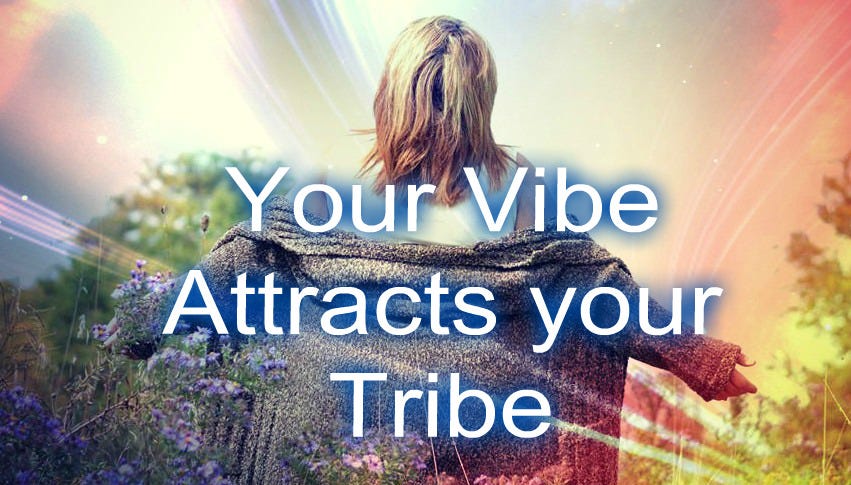Building your Tribe and Why it’s vital to your online success | by ...