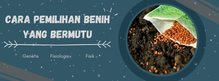 Cara Pemilihan Benih Bermutu. Hai Halo Sobat HOST! Semoga hari ini ...