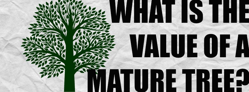 Top 3 Benefits of Mature Trees. Environmental Benefits: They improve ...