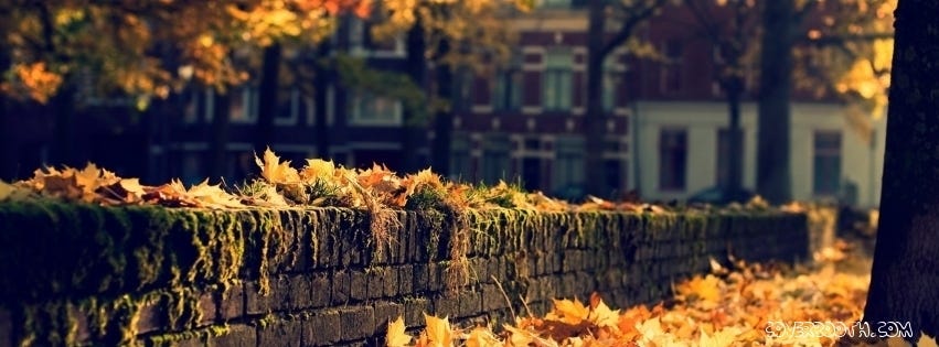Autumn Leaving. Autumn has always been my favourite… | by Lianne Marie ...