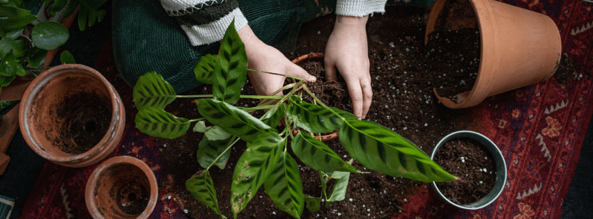 Container Gardening Ideas and Designs for Small Spaces | by ...