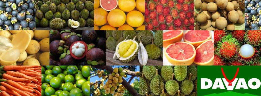 7 Best Tropical Fruits in Davao City | Medium