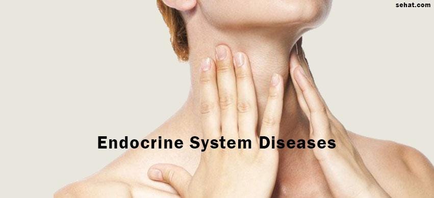 Most Common Diseases/Disorders of the Endocrine System | by Sehat.com ...