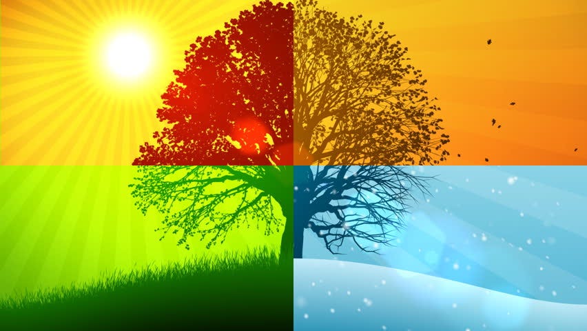Four Seasons Of Life — Embracing Change and Growth | by Özgür Kolgu ...