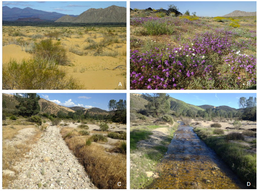 The role of seasonality in shaping biodiversity is regulated by its predictability | by Jonathan ...