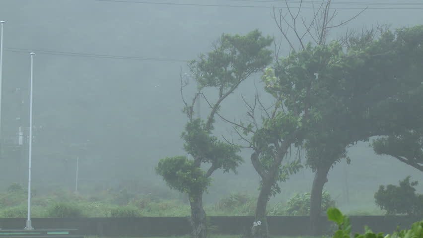 The wind - Ina Zeneli - Author - Medium