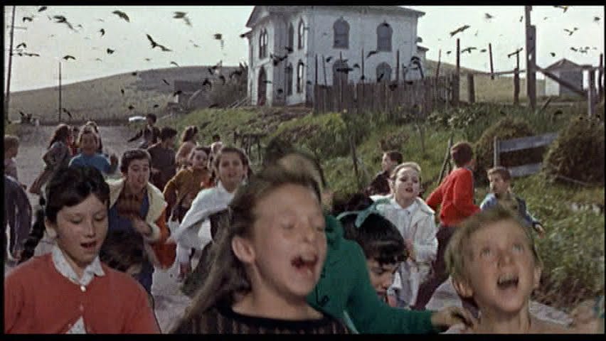 Script To Screen: “The Birds”. A scene from the 1963 Alfred Hitchcock ...