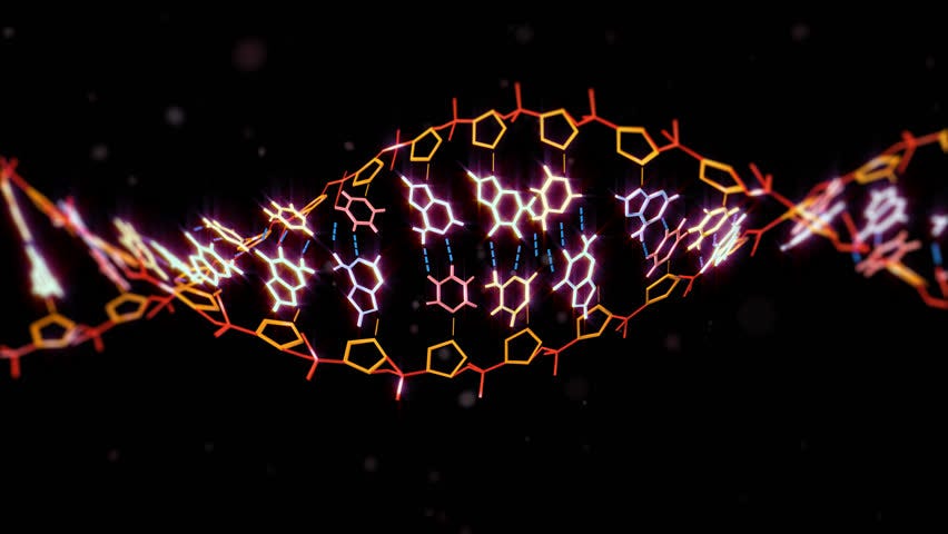 Dark DNA: Dark matter of Biology. Until the start of 2018, it is ...
