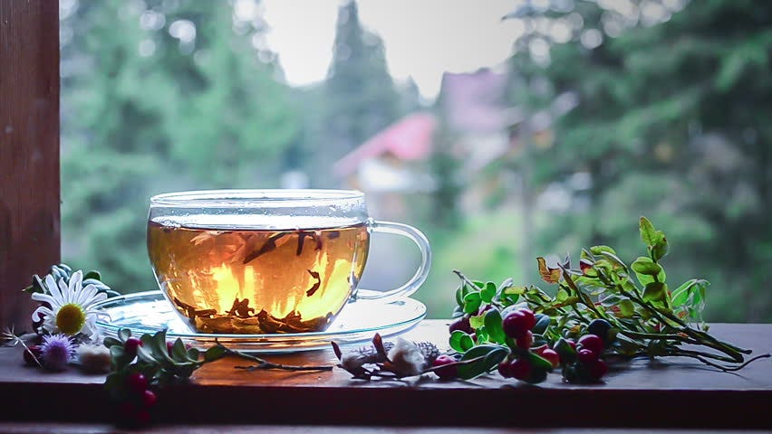 Here’s to Your Health: DRINK MORE TEA | by Kaylie Ann Pickett | Medium
