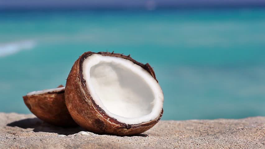 Coconut’s are so good for you. The coconut is a strange thing. It’s ...