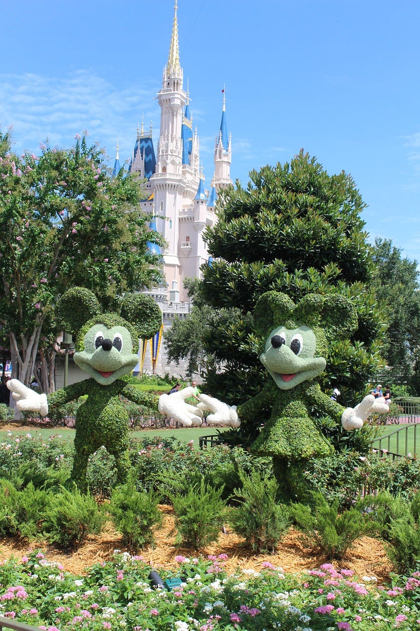 Disney During Covid. Life hasn’t been the same since this… | by Lori ...