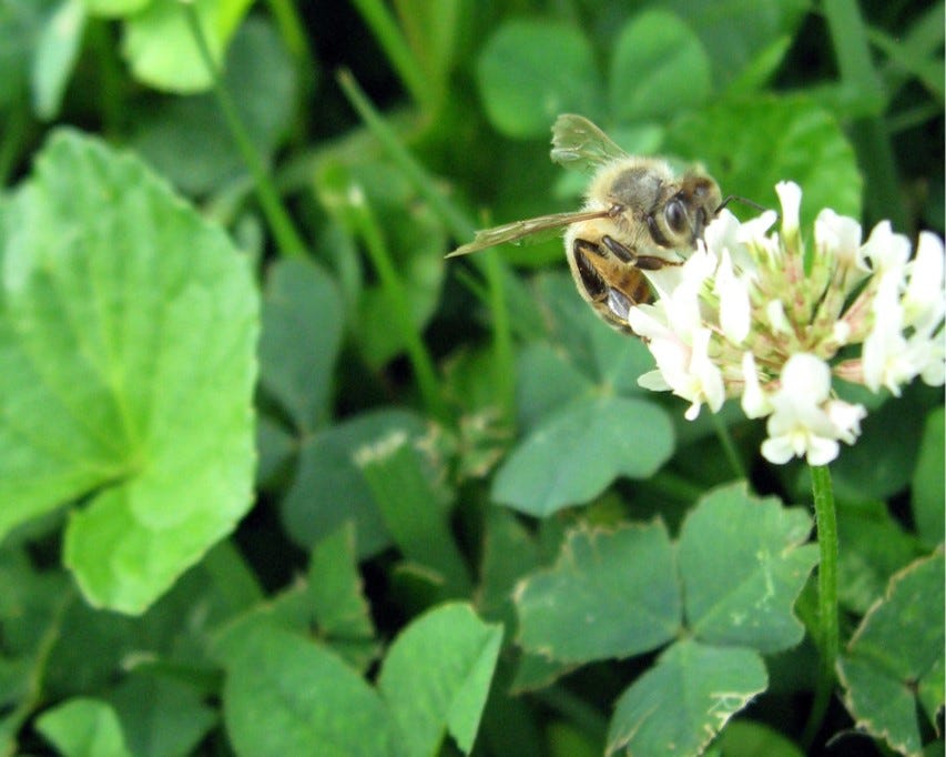 Resilient business models use synergy as their driver. They embrace ...