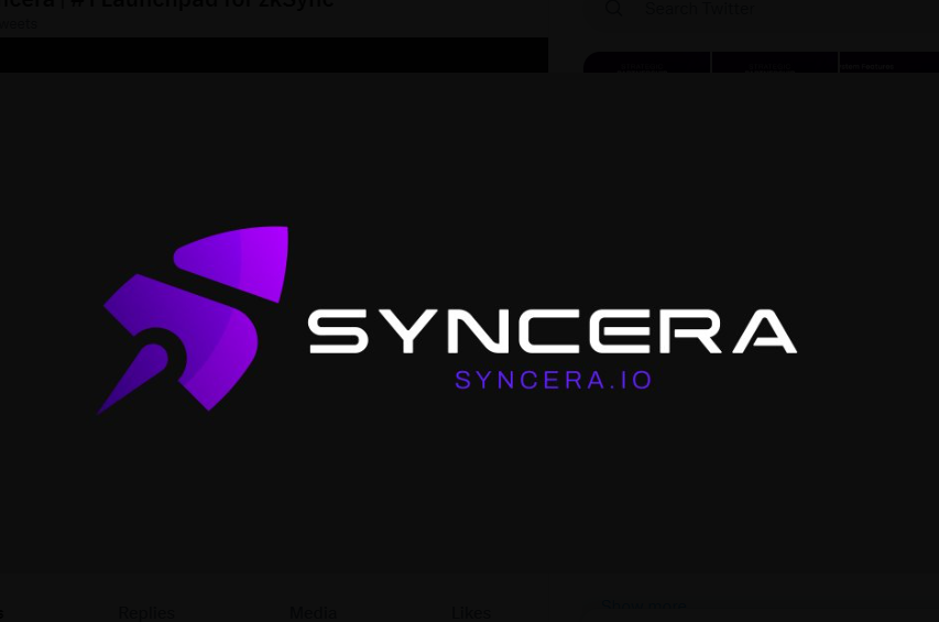 Syncera is the first community-driven IDO platform | by Tutugoncom | Medium