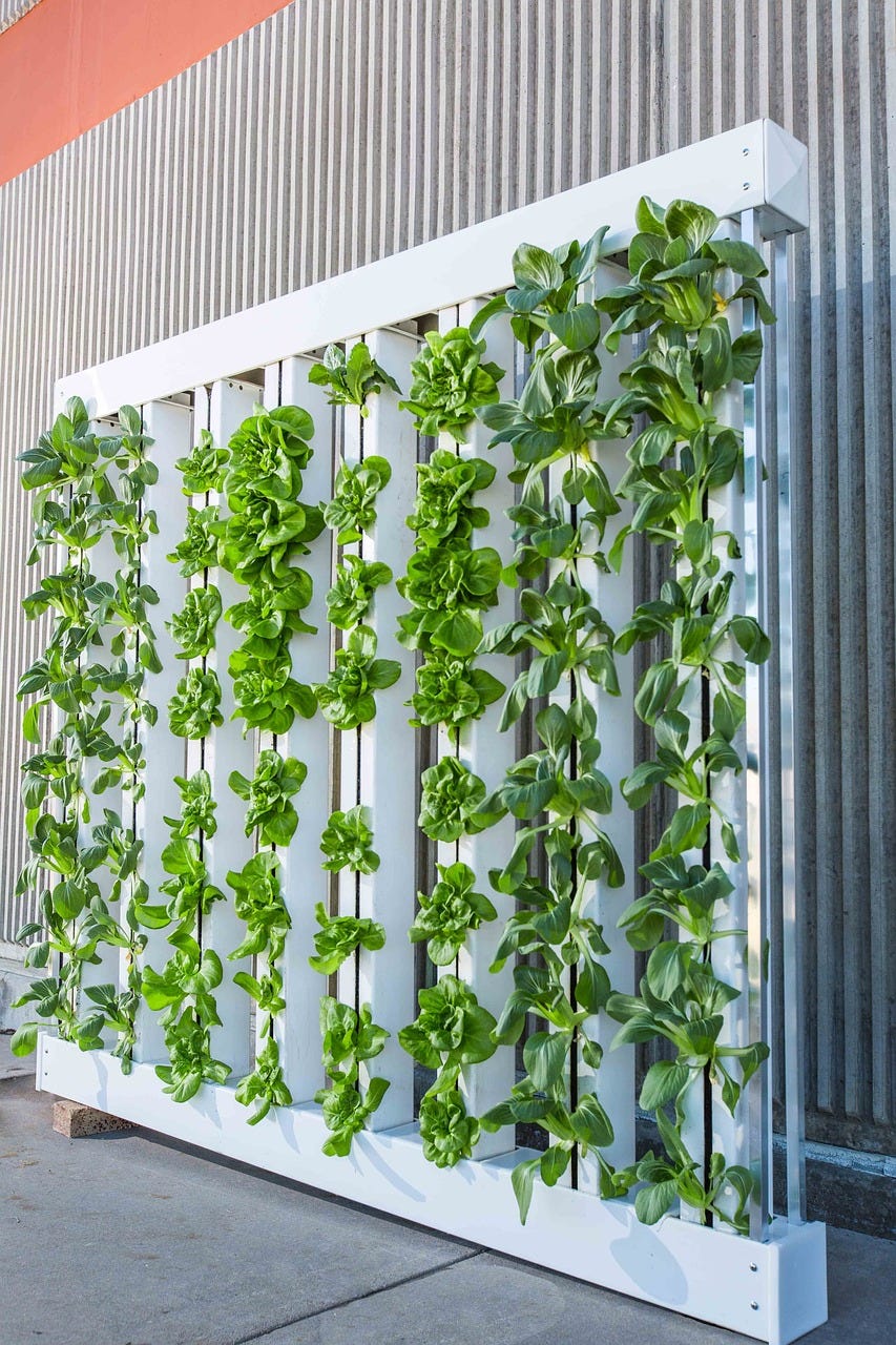 Vertical Farming: A Sustainable Solution for Climate Resilience and ...