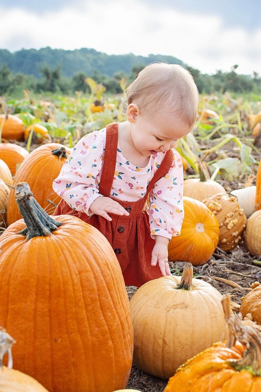 Five things to do during the Fall season before it’s over | by Puja ...