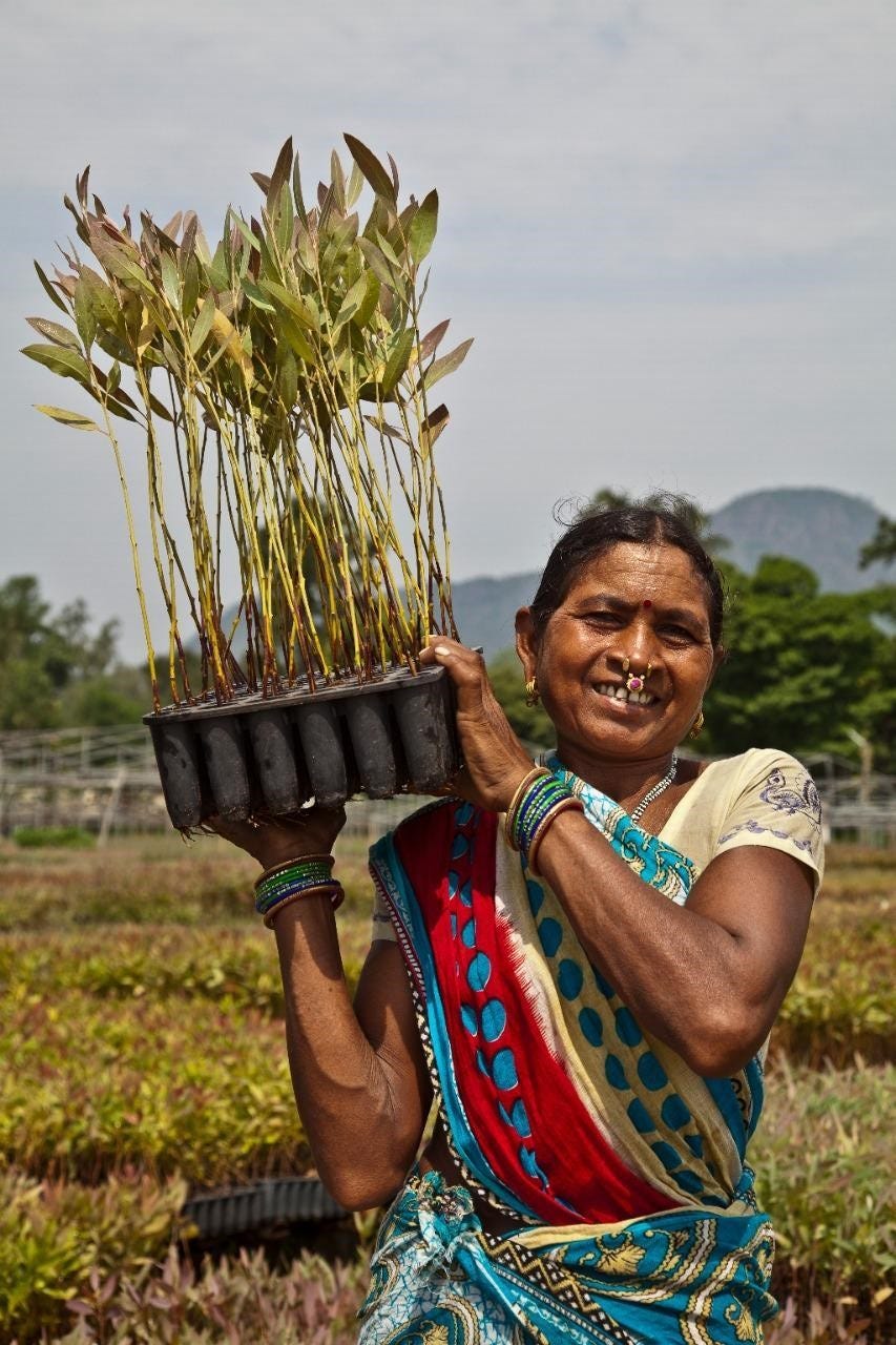 Greening the Paper Trail: JK Paper Leads Sustainable Practices in the ...