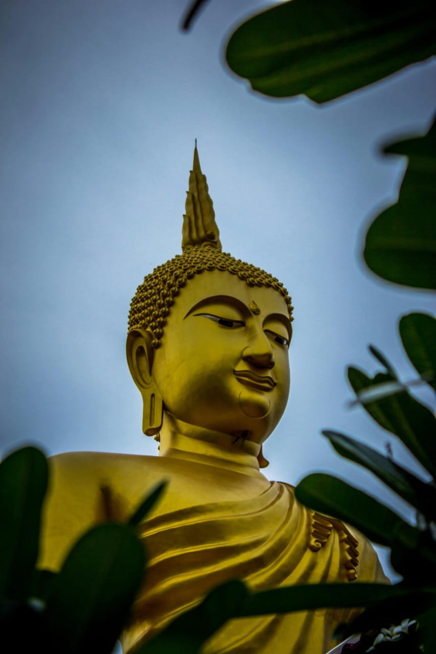 Quiet Lessons, Loud Impact: A Journey Through Buddhist Philosophy | by Quiet Dreamer | The ...