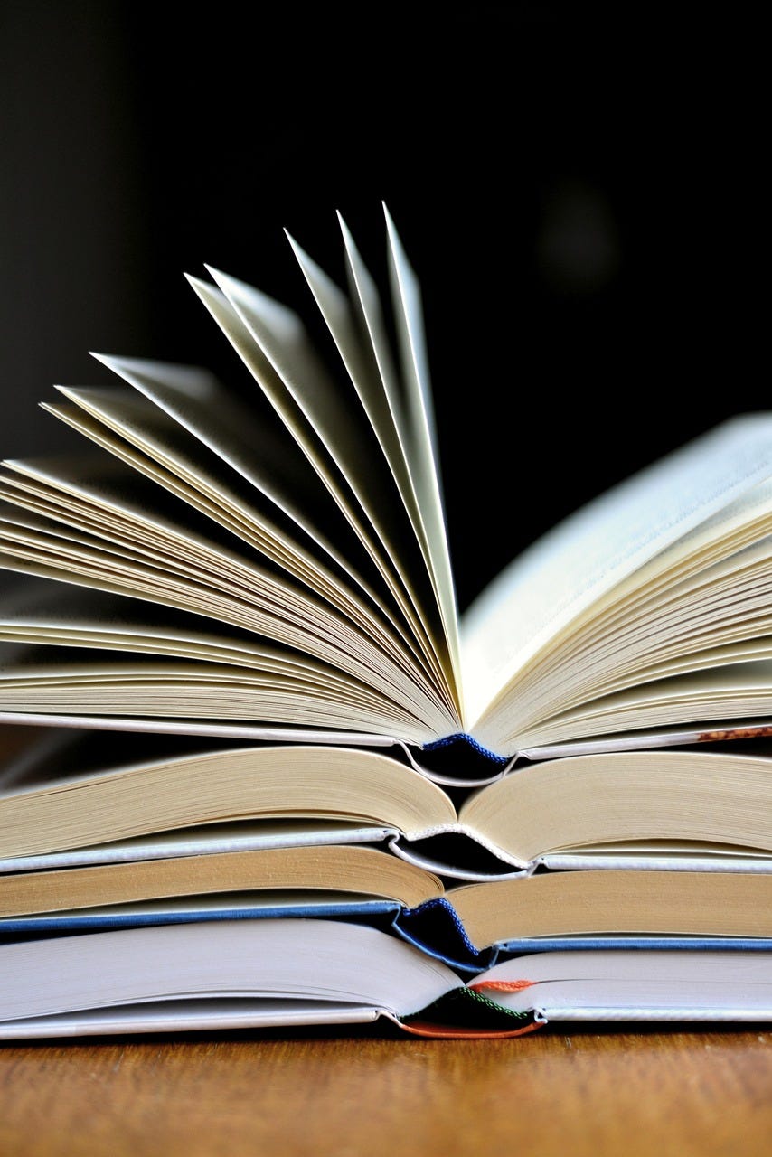 Why Am I not Reading Dozens Of Books This Year? It’s Not Working For Me ...