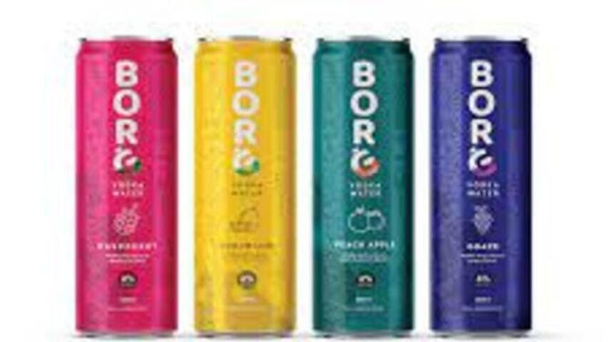 Borgs Drink Vodka Water: Where Purity Dances with Playfulness | by ...