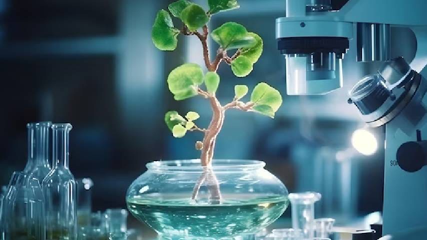 The Intersection of Biotechnology and Artificial Intelligence | by ...