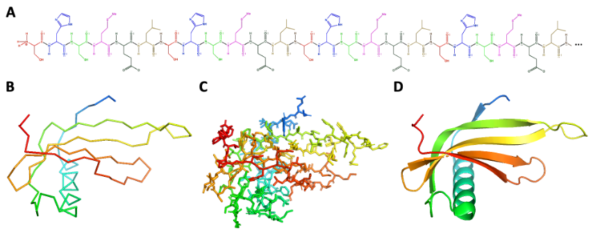 Machine learning on proteins, a step-by-step guide. Step 2: Know your ...