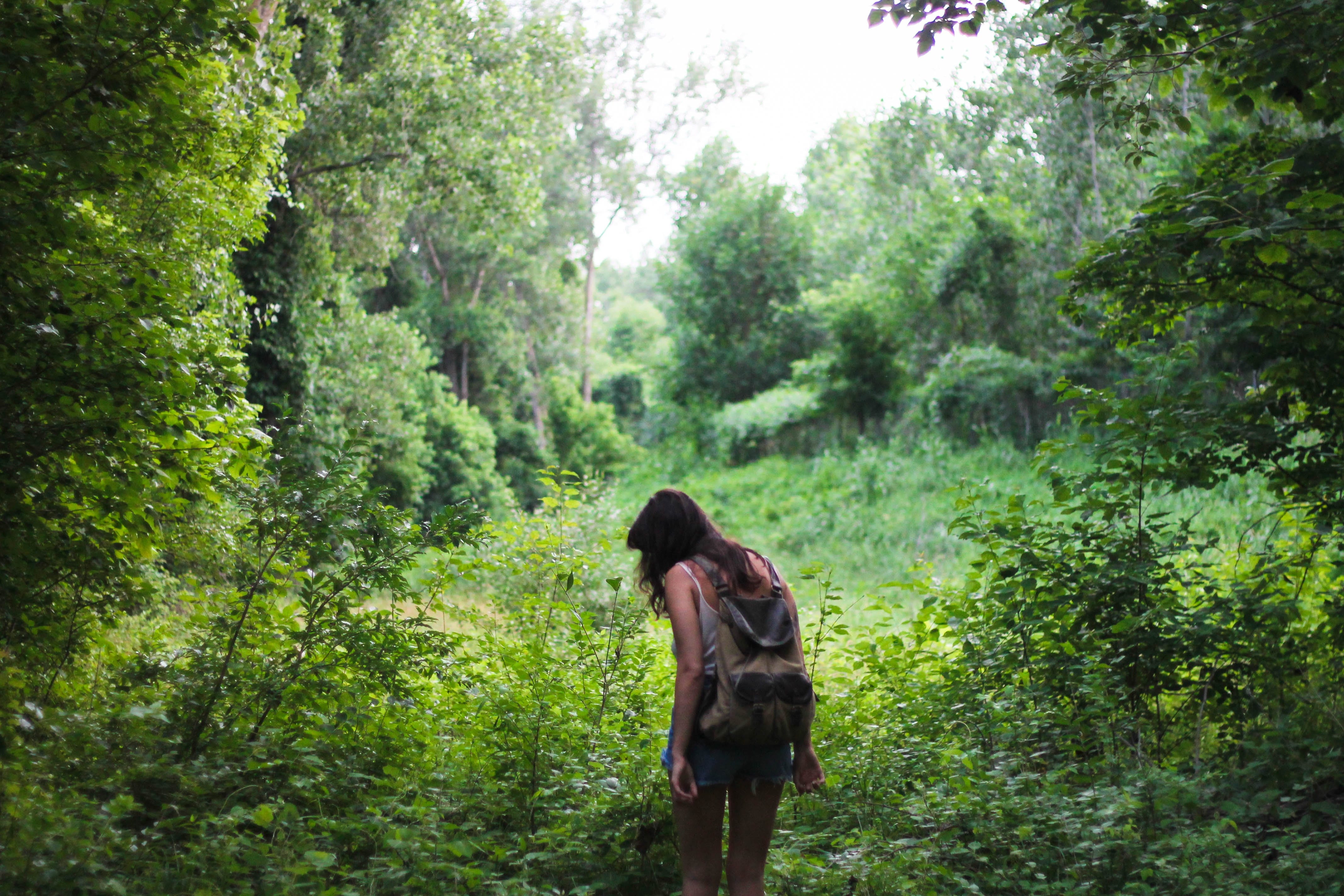 Walk The Path Less Traveled