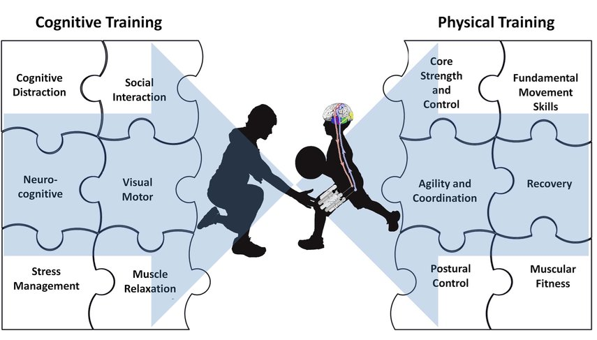 Neuromuscular & Neurorespiratory Integration | by Daisy | Aug, 2024 ...