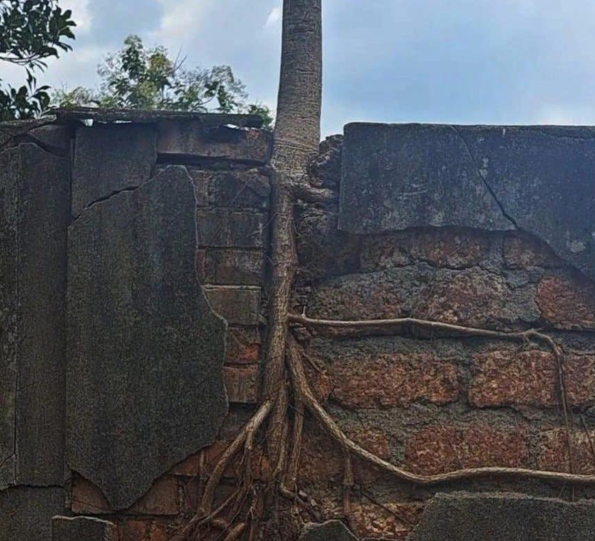 Verukal (1966) by Malayattoor Ramakrishnan | by Abhidha Anil | Medium