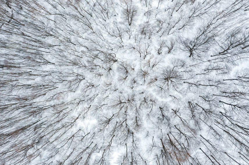 Telogen effluvium — what is it and how to combat it? | by Raneem ...
