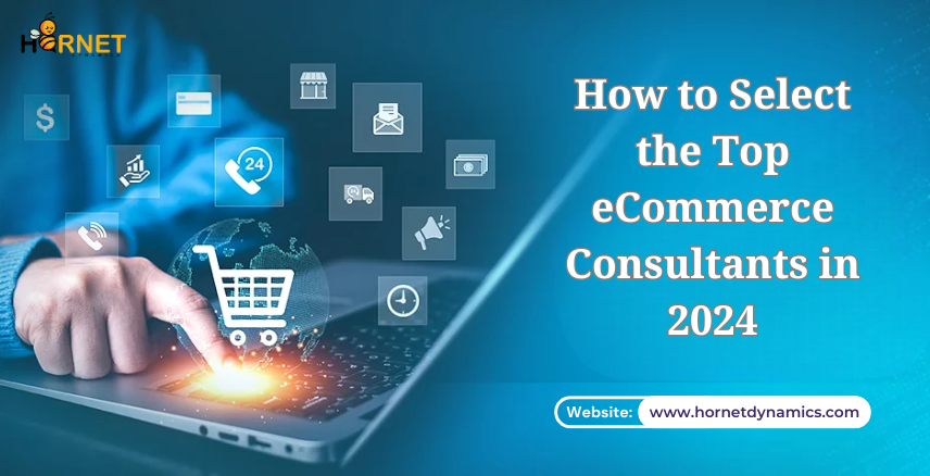 How to Select the Top eCommerce Consultants in 2024 | by Sona | Aug ...