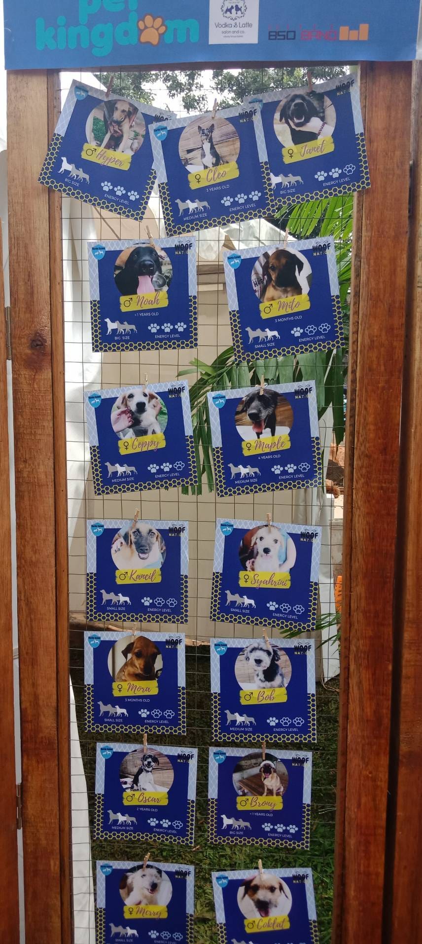 Woof Nation 2018, Gerakan Peduli Mahasiswa Program Internasional Ilmu ...